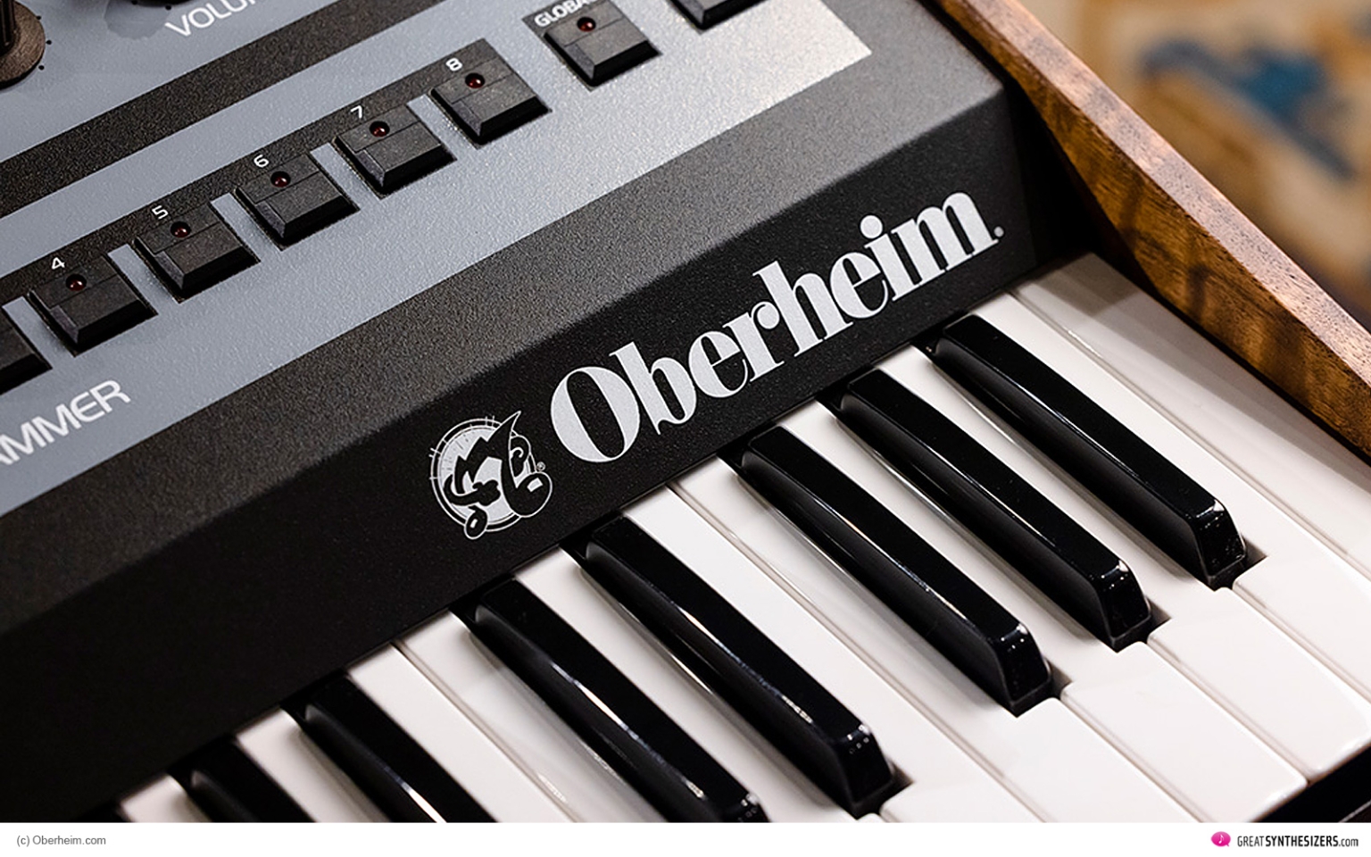 Oberheim OB-X8 - return of a classic? - GreatSynthesizers